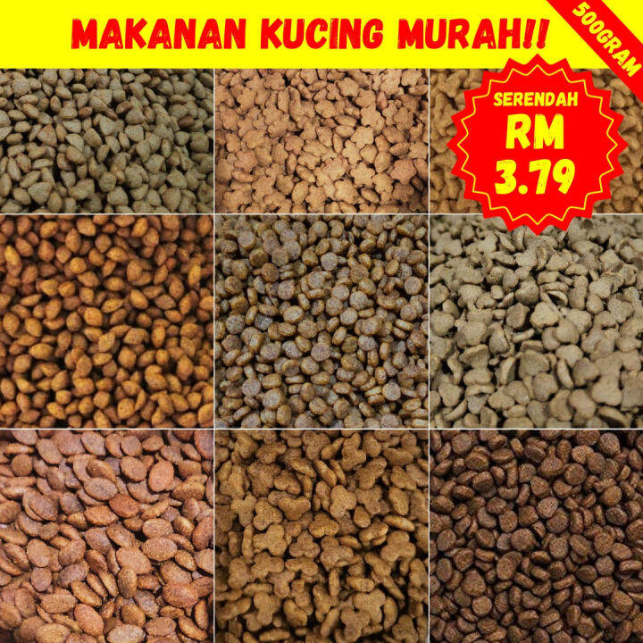 Makanan Kucing Murah Super Jimat / Kucing Gebu Cepat Gemuk Bulu ...
