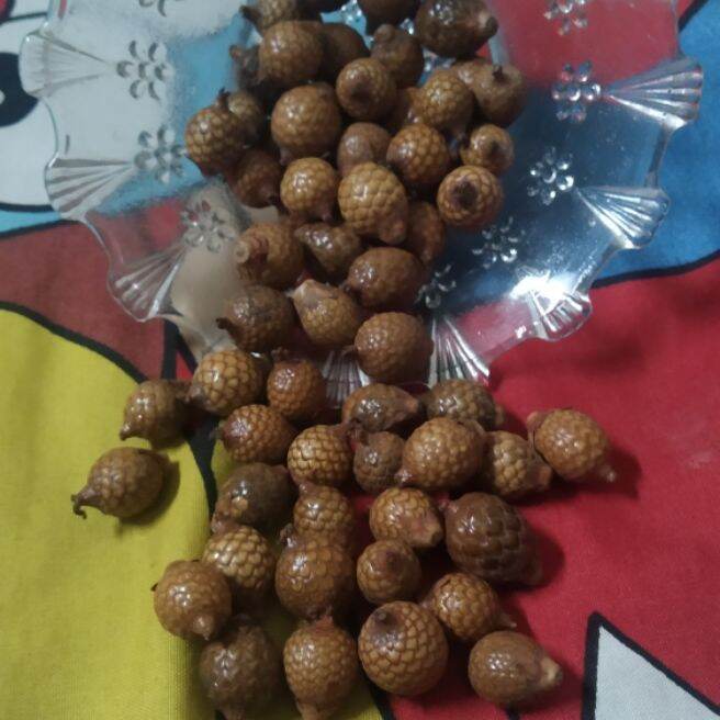 Biji rotan bulat mini 7 pcs bahan mahar rustik ringbox | Lazada Indonesia