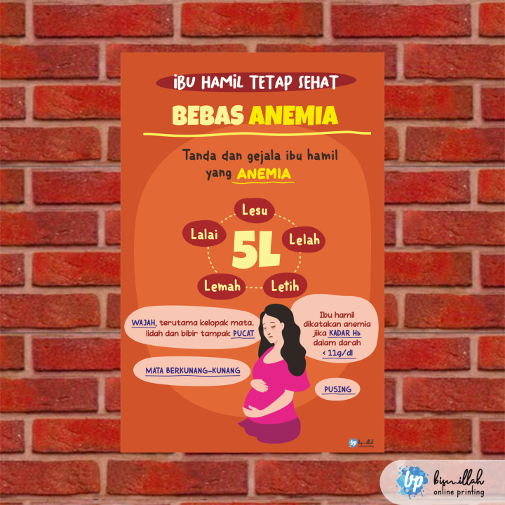 Poster Kesehatan Ibu hamil, Anemia dan Tablet Tambah Darah | Lazada ...