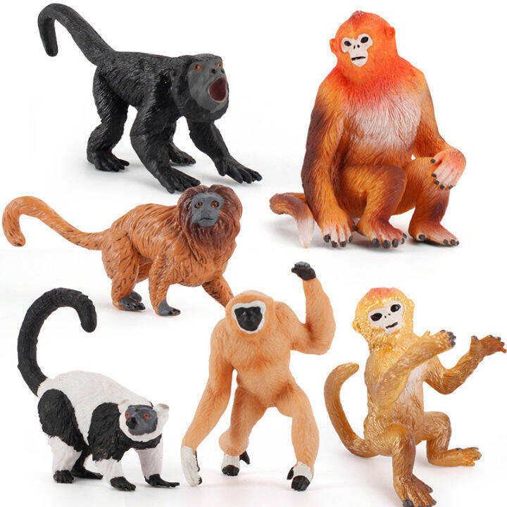 ♞In Stock Wholesale♞Children's Science and Education Cognitive Monkey ...