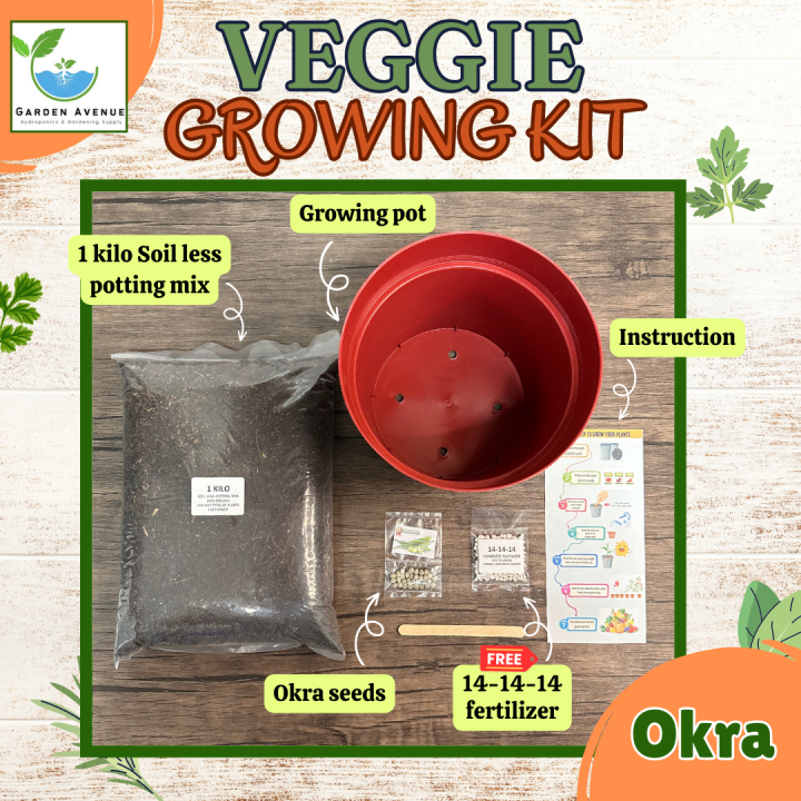 OKRA GROWING KIT - READY TO USE/COMPLETE PACKAGE/POT/SOIL/SEEDS ...