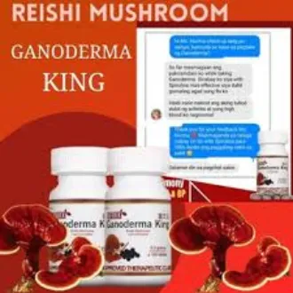 Gfoxx Ganoderma King Food Supplements (1 Bottle w/ 100 tablets | 200mg ...