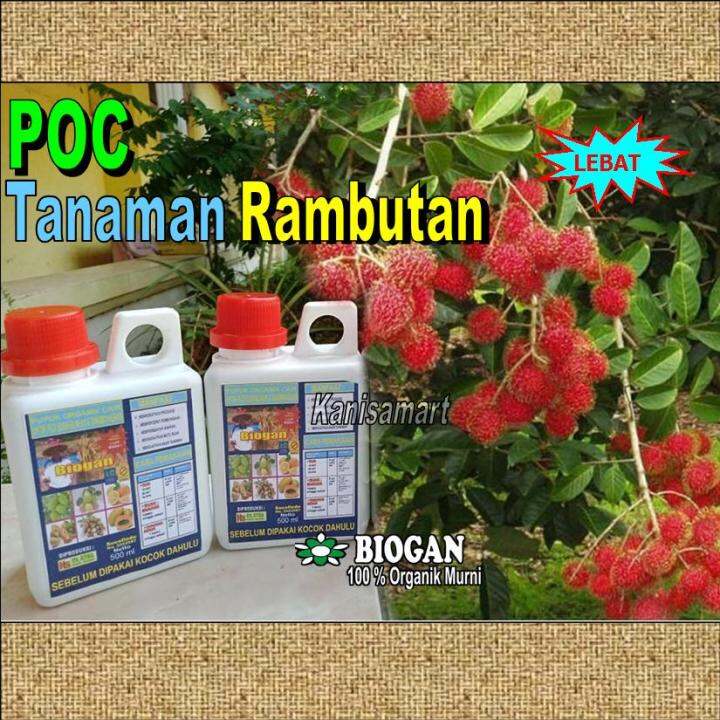 Pupuk Penyubur Perangsang dan Pelebat Tanaman Buah Rambutan - Pupuk Biogan Kemasan 500ml ...
