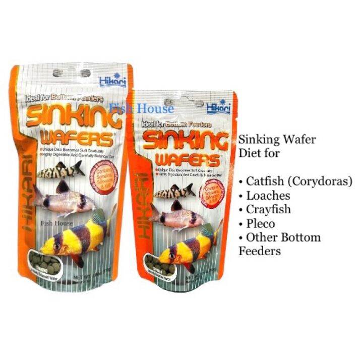Hikari Sinking Wafer For Catfish Loach Crayfish and other bottom ...