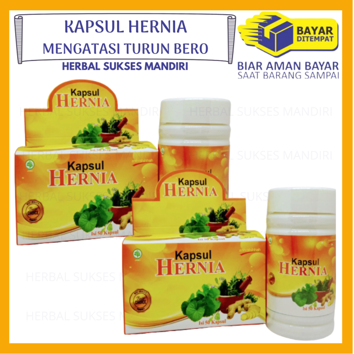 PAKET 2 PCS Obat Hernia Herbal Turun Berok Bero Usus Varikokel Testis ...