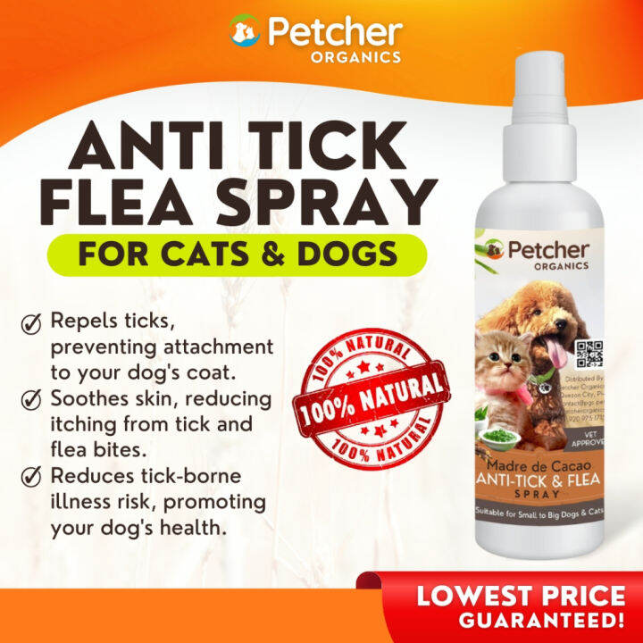 Petcher Organics Anti Tick and Flea Madre de Cacao Spray 100ml Dog Tick ...
