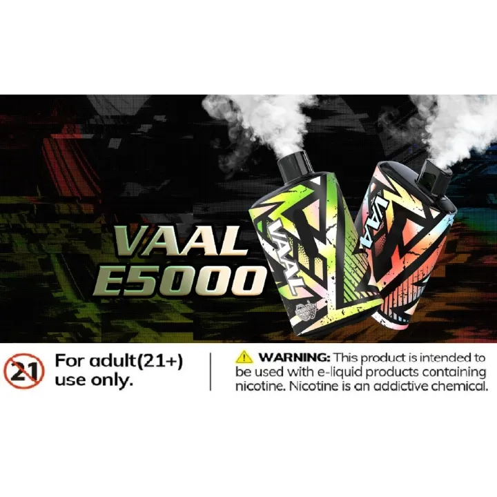 VAAL E5000 Rechargeable Disposable Vape Pods (5000 Puffs) | Lazada PH