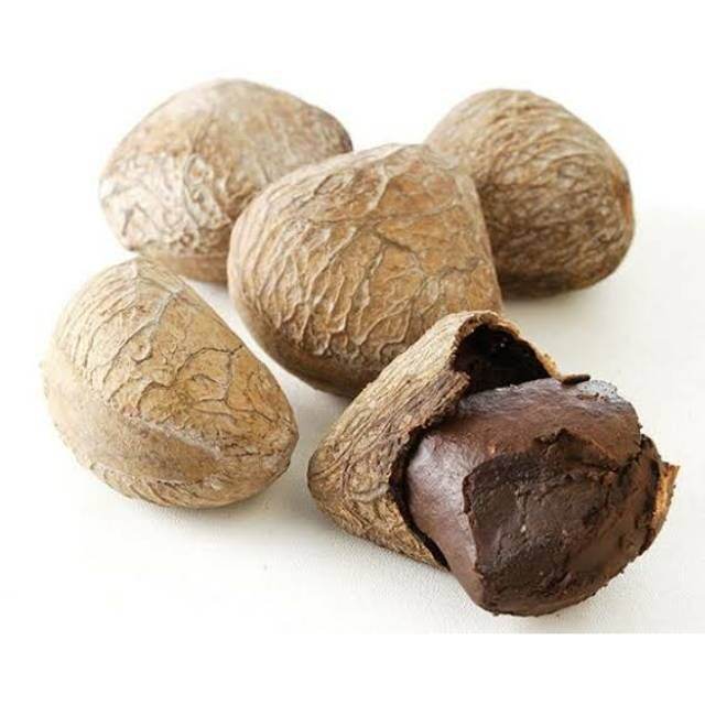 Kedai 1 Buah Kluwek Pamarrasan Pucung Kluwak Picung Kepayang Keluak ...