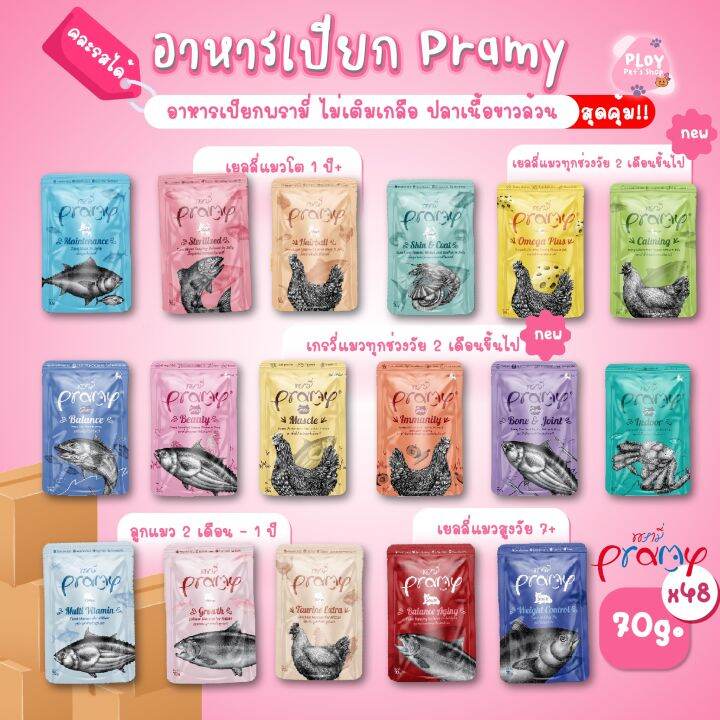 (ยกลัง 48 ซอง) Pramy อาหารเปียกแมว พรามี่ ในเยลลี่ แบบซอง ขนาด 70 กรัม/ซอง | Lazada.co.th
