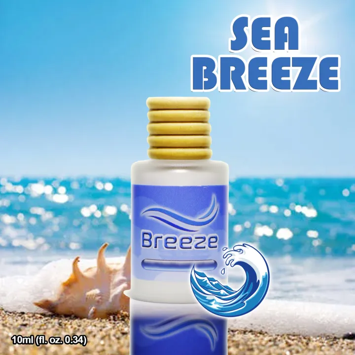Sea Breeze / Hanging Diffuser / Car Air Freshener | Lazada PH