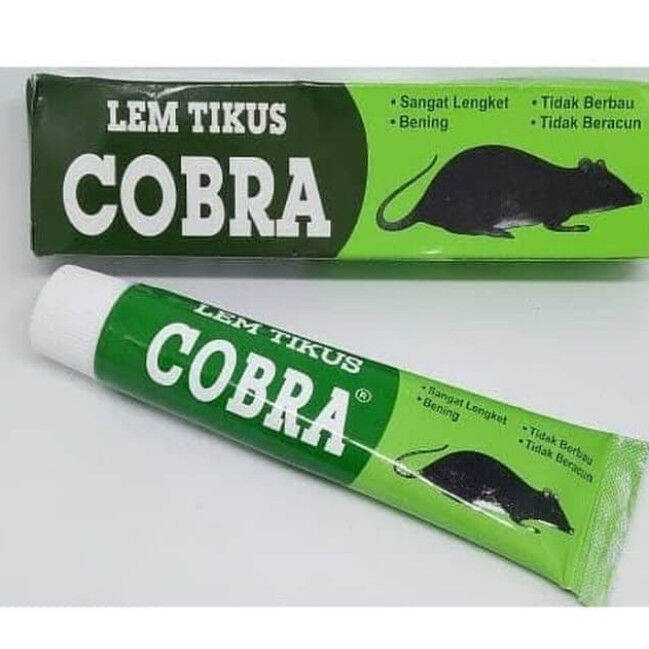 LEM TIKUS COBRA AMPUH MENANGKAP TIKUS PERANGKAP TRAP TIKUS RAT DI RUMAH ...