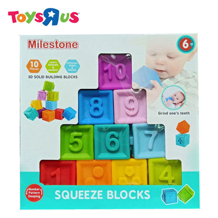 Milestone Squeeze Blocks | Lazada PH