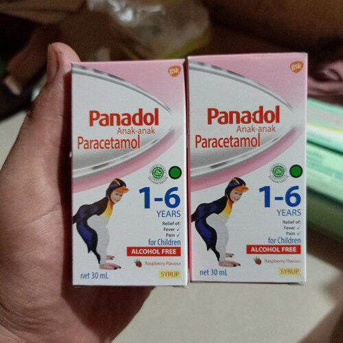 Panadol Syr Anak Rasa Raspberry 30 ml | Lazada Indonesia
