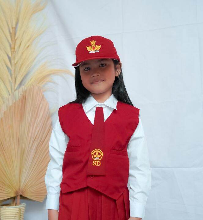 Seragam SEKOLAH Rompi SD (hanya rompi) | Lazada Indonesia