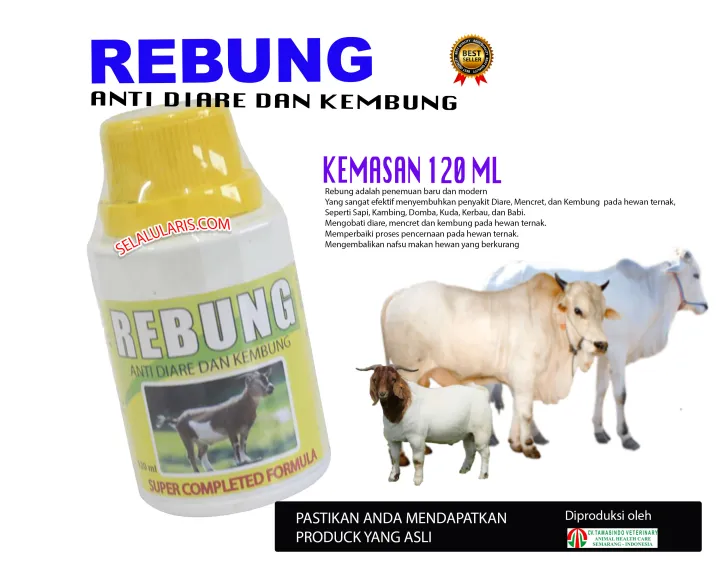 REBUNG-OBAT MENCRET KAMBING-OBAT MENCRET SAPI-OBAT DIARE-SAPI-DOMBA ... REBUNG-OBAT MENCRET KAMBING-OBAT MENCRET SAPI-OBAT DIARE-SAPI-DOMBA ...