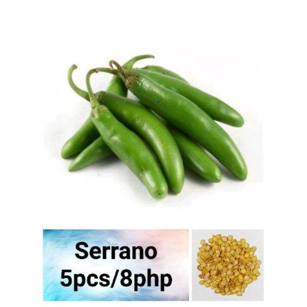 linbei/ Serrano Pepper Seeds (10pcs) | Lazada PH