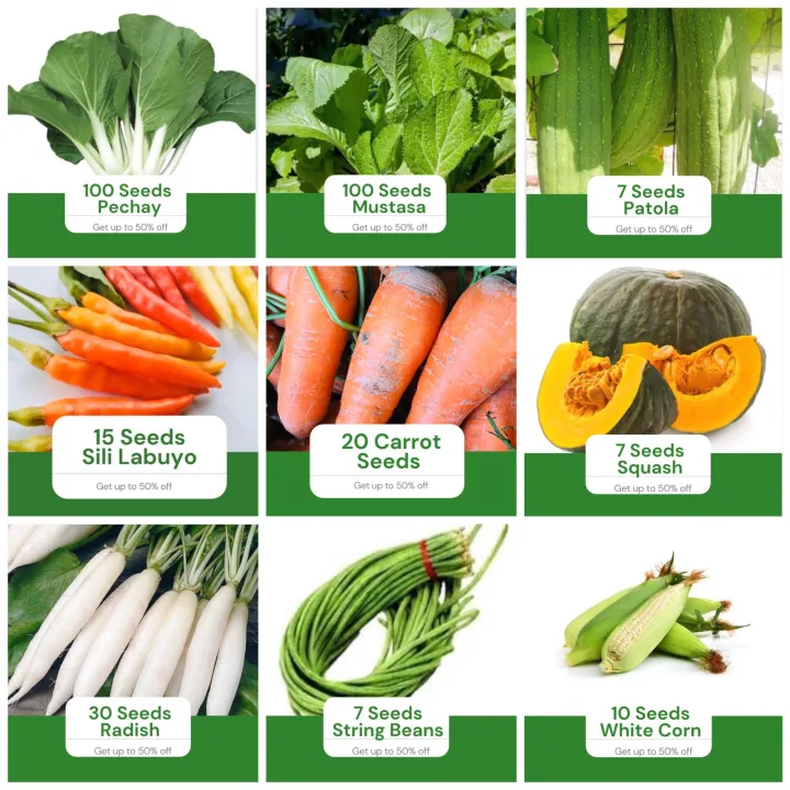 All in 9 in 1 Pack Seeds Outdoor Garden Plant | Lazada PH