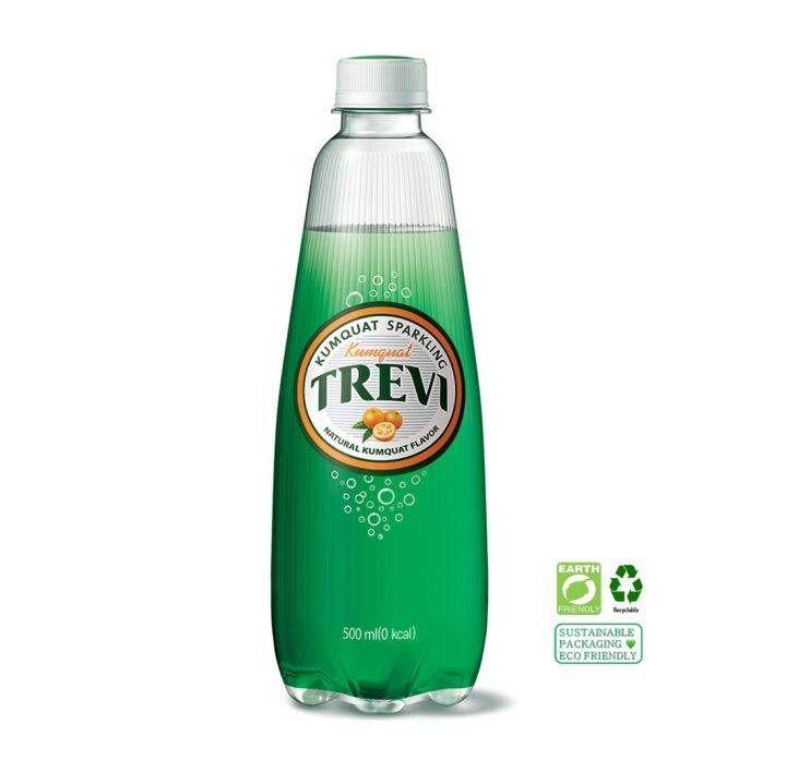 LOTTE Trevi Sparkling Water Orange Kumquat (500ml) | Lazada Singapore