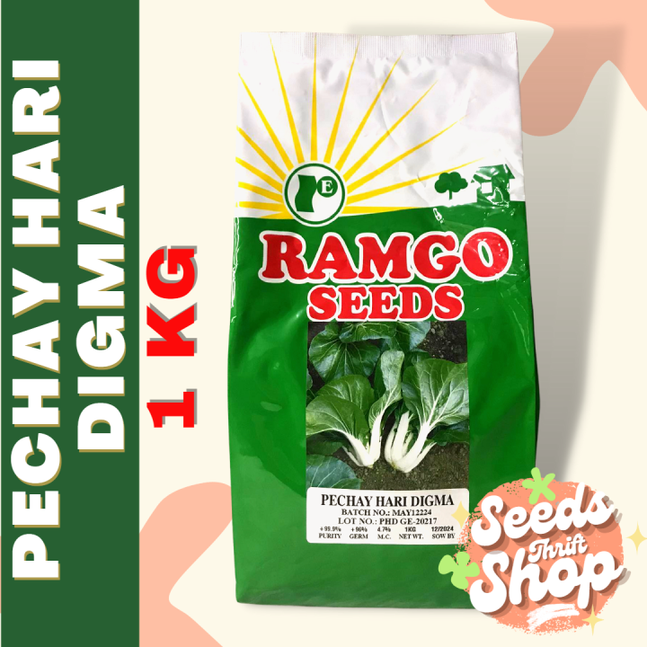 PECHAY HARI DIGMA-RAMGO SEEDS 1KG | Lazada PH