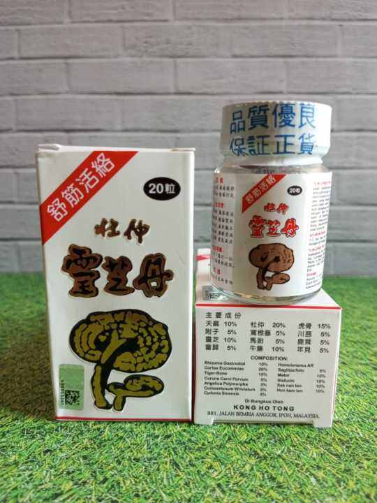 Lin Chee Tan Jamur - Obat Rematik pegal linu Sendi dan bengkak bengkak ...