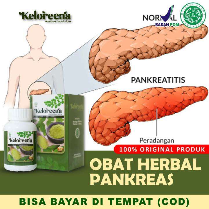Obat Pankreas, Obat Herbal Pankreas, Kapsul Pankreas, Obat Herbal Untuk ...