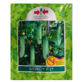 Benih Bibit Timun Hijau MERCY F1 ISI 400 biji | Lazada Indonesia