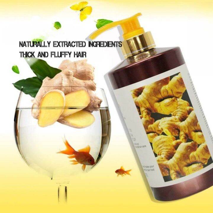Genuine Ginger Shampoo Extract Natural Laoshan Ginger Anti-Dandruff ...