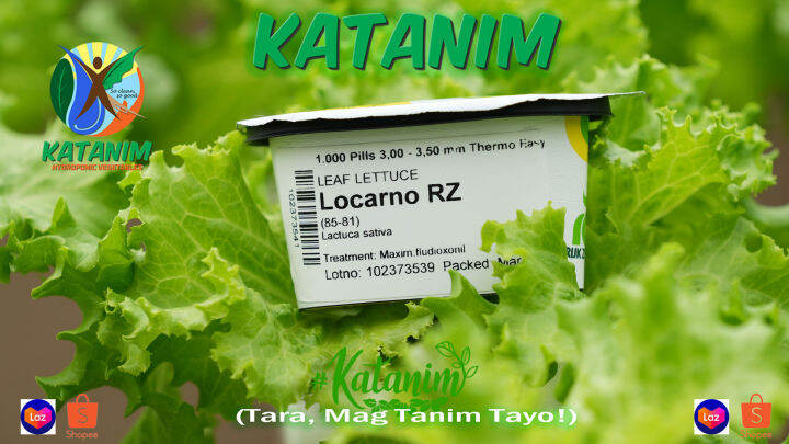 Locarno RZ 1 tub Lettuce Coated Pills by Rijk Zwaan | Katanim ...