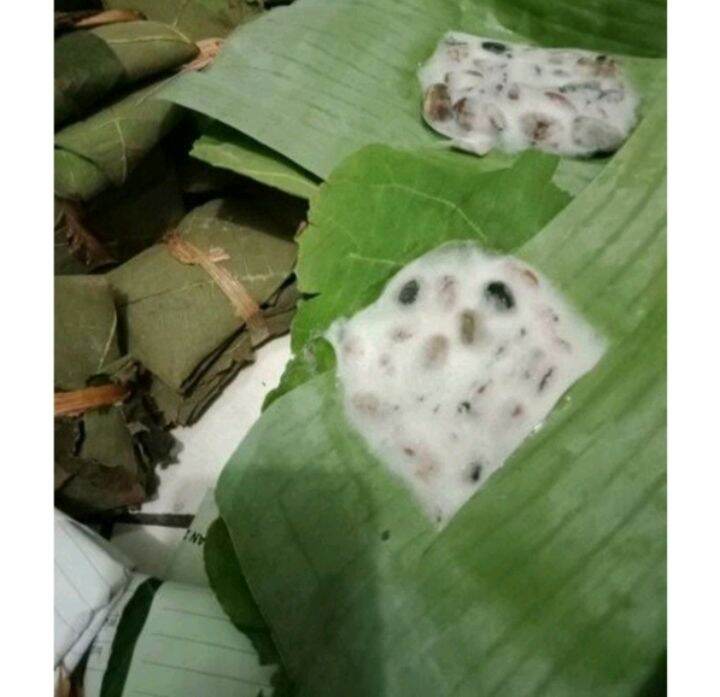 tempe benguk wonogiri isi 15 tempe | Lazada Indonesia