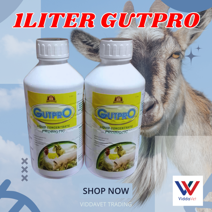 GutPro Liquid Concentrated Probiotics for chicken poultry pig livestock ...