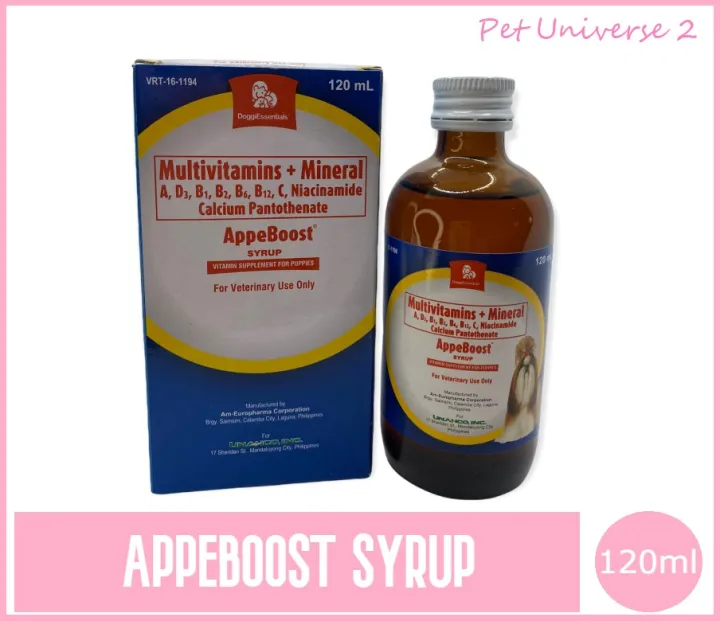 AppeBoost Vitamins Syrup 120ml | Lazada PH
