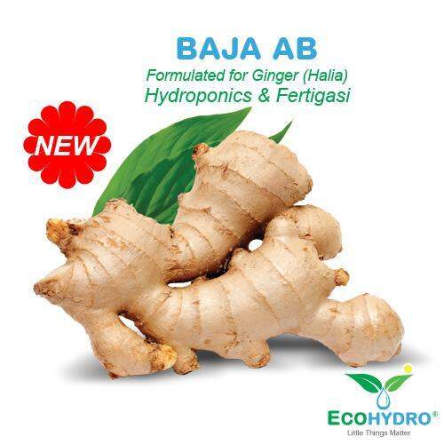 NEW Baja Halia AB Fertigasi Halia Hydroponics Ginger Aeroponic ...