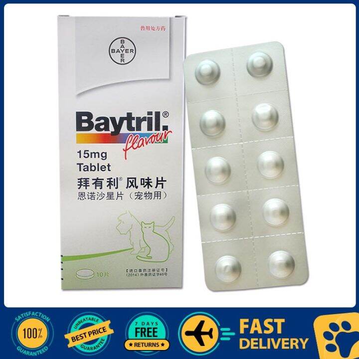 Bayer Baytril Cats and dogs pet cold urinary tract infection nasal ...