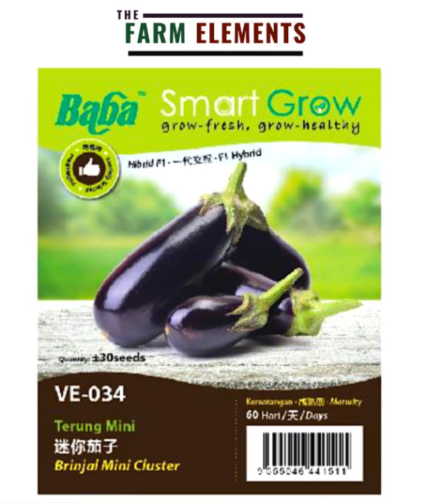 Baba VE-034 Smart Grow Brinjal Mini Cluster Seed (30 Seeds)Benih Terung ...