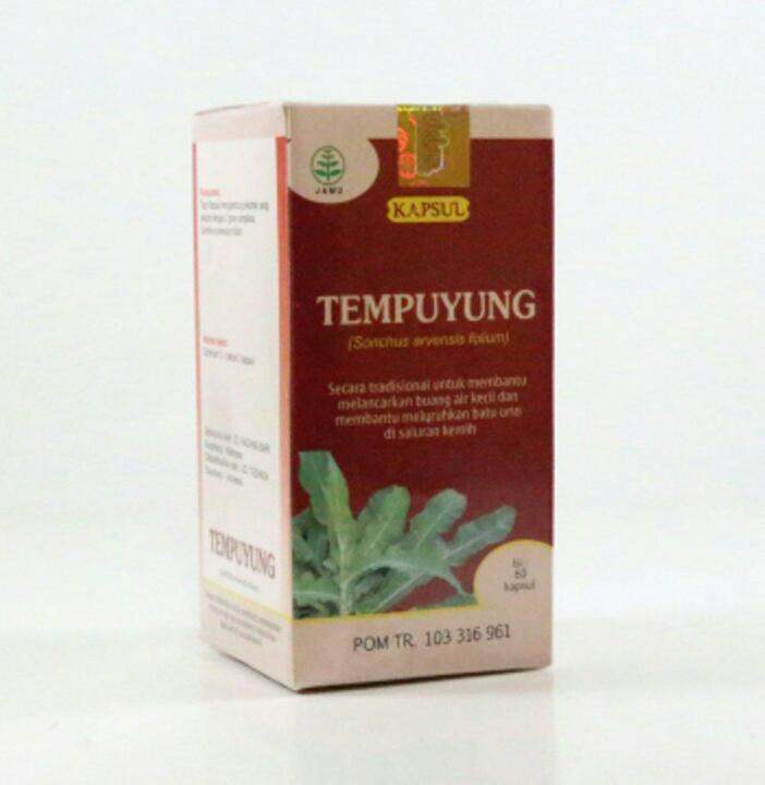 Kapsul Tempuyung Tazakka - Herbal Asam Urat Dan Batu Ginjal | Lazada ...