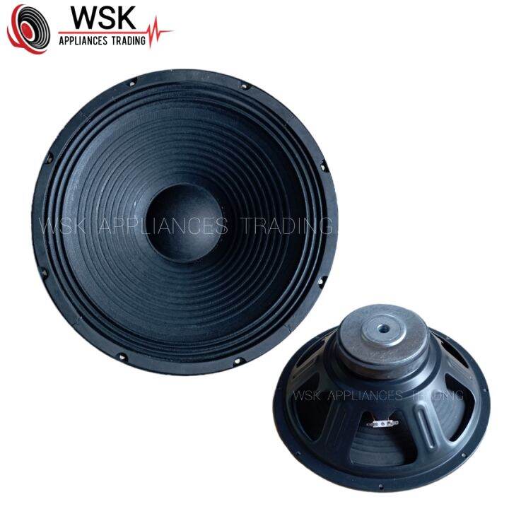 SG-15 Instrumental Speaker (15-inches) | Lazada PH