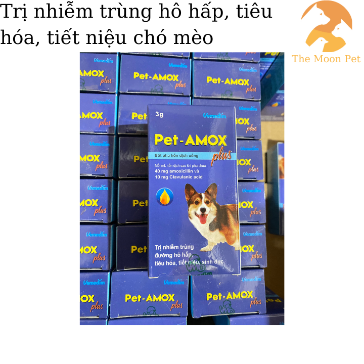 VMD Pet Amox plus chó mèo nhiễm trùng đường hô hấp tiêu hóa tiết niệu ...