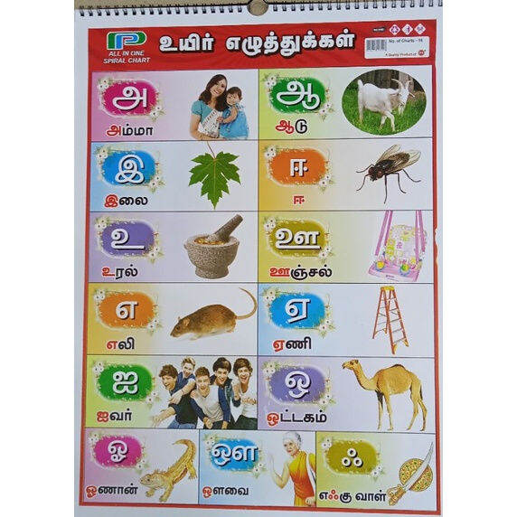 ALL IN ONE SPIRAL CHART | Lazada