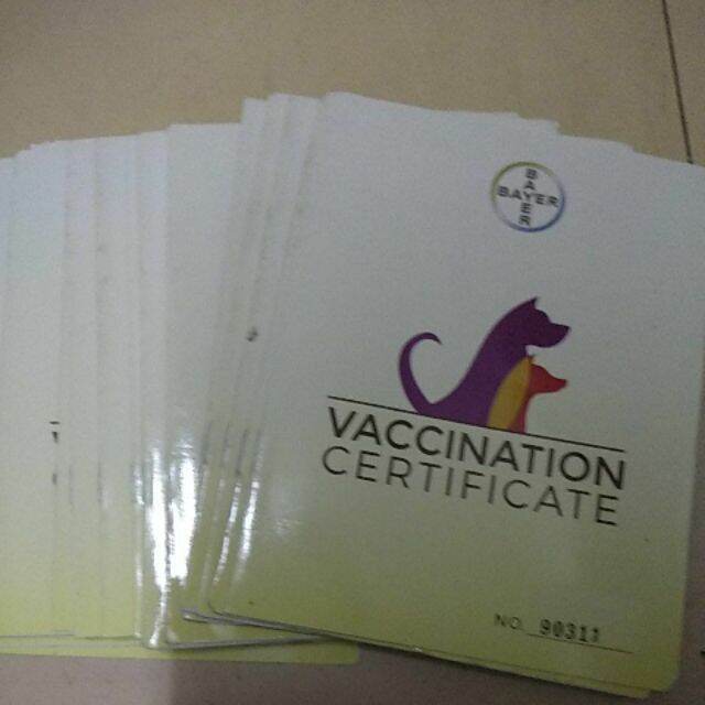 Vaccination Certificate Booklet type with cover | Lazada PH