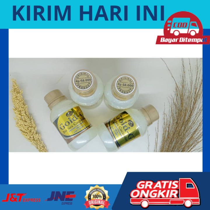 Jelly Gamat Gold-G Obat Penyakit Tetanus Infeksi Luka Paku Di Kaki Aman ...