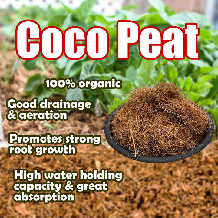 GNC Cocopeat Sabut Kelapa Hancur Coco Peat Murah Coco Peat Halus Tanah ...