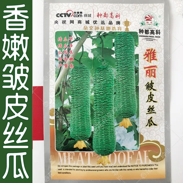 Wrinkled Flesh Luffa Seeds Spring and Autumn Four Seasons Vegetable ...