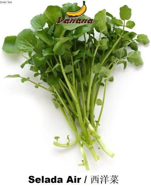 sayur selada air per ikat | Lazada Indonesia