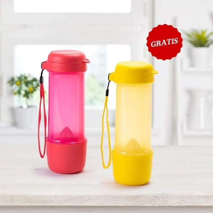 Tupperware Infused H2GO / Botol Infused Water Red 700ml - 1pc | Lazada