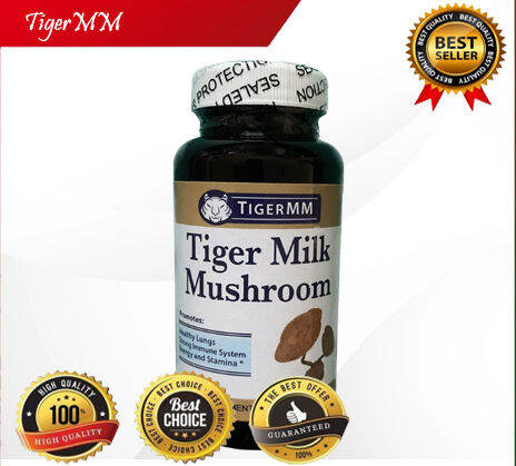 TigerMM Tiger Milk Mushroom (Lignosus Rhinocerus) Lung Support ...