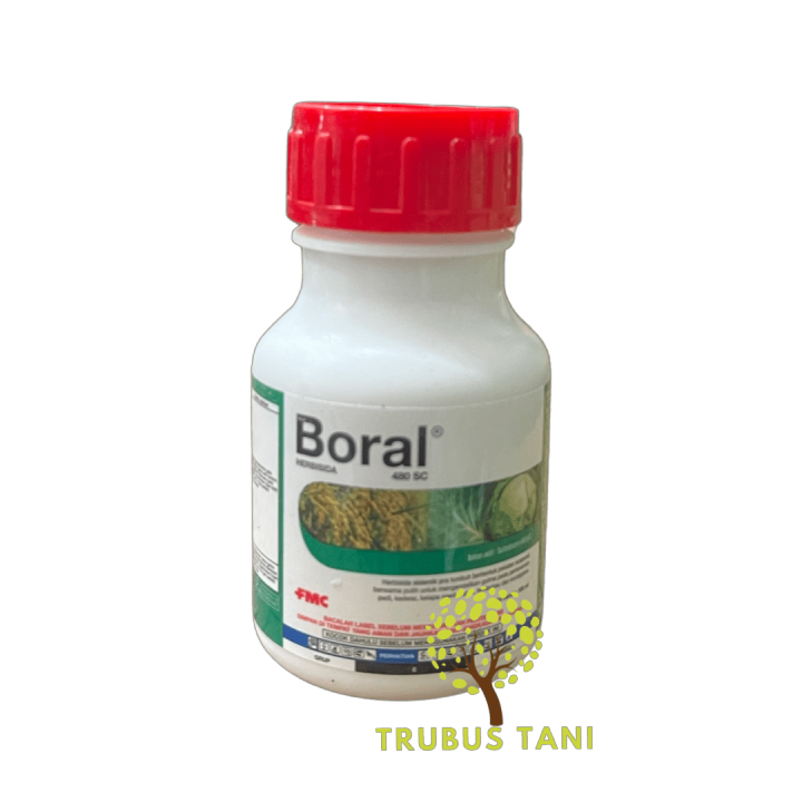 BORAL 480 SC 100 ML-Herbisida dari FMC | Lazada Indonesia