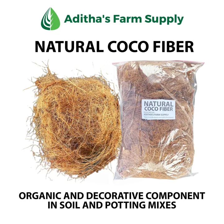 Coco Fiber (Natural Fiber Extracted From Coconut Husk) Substrate ...
