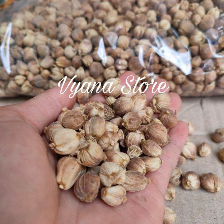 Kapulaga Kering 100gr - Kapol Kering | Lazada Indonesia