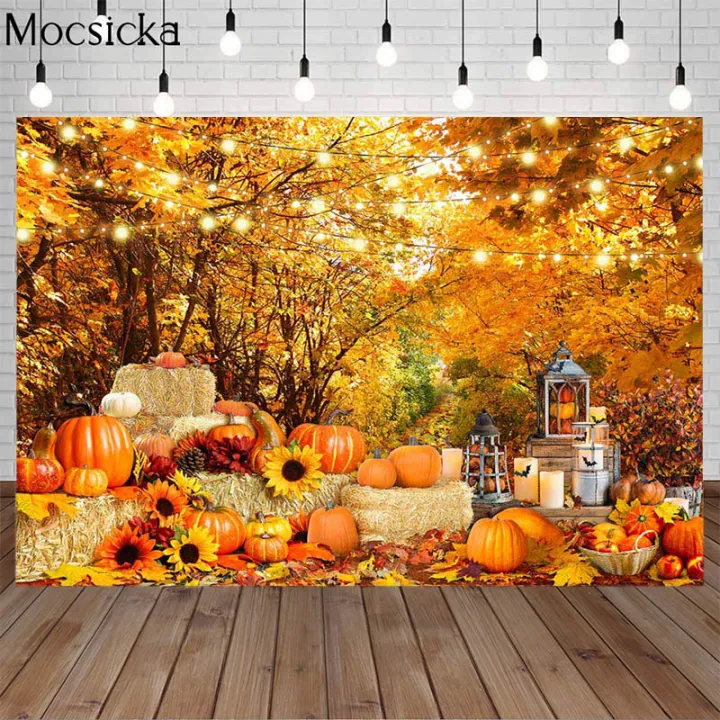 Fall Pumpkin Thanksgiving Photography Backdrops Autumn Harvest Forest ...