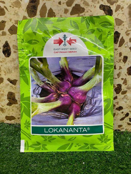 Benih Bawang Merah LOKANANTA Cap Panah Merah/East West (Repack 0.5gm ...